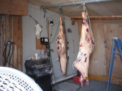 Cow Butchering at Home - Countryside